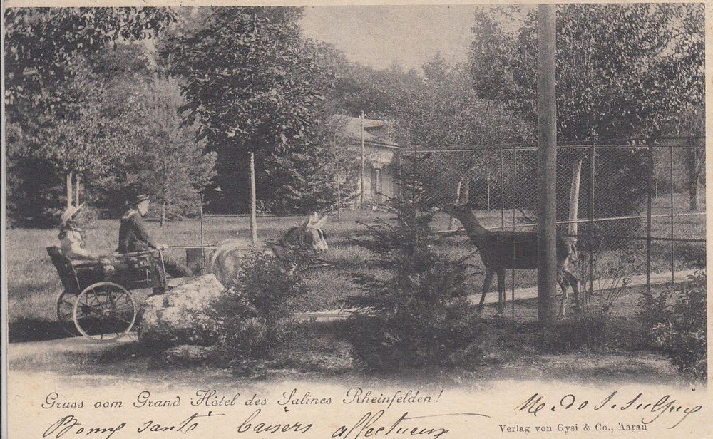 Rheinfelden AG - Grand Hôtel des Salines um 1901 (Gebraucht) in Niedergesteln für CHF 7.4 – mit ...