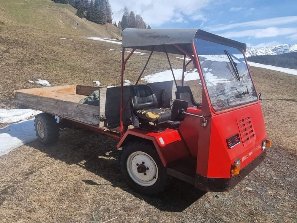 Transporter AEBI TP20 (Gebraucht) in Davos Dorf für CHF 2152 – nur Abholung auf Ricardo kaufen