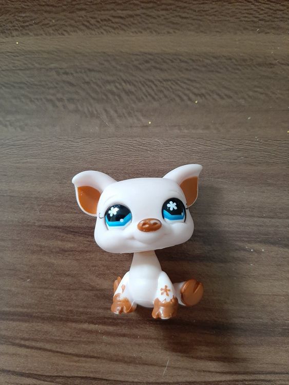 LPS Littlest Pet Shop Schweinchen #732 (Gebraucht) in für CHF 3 – mit ...