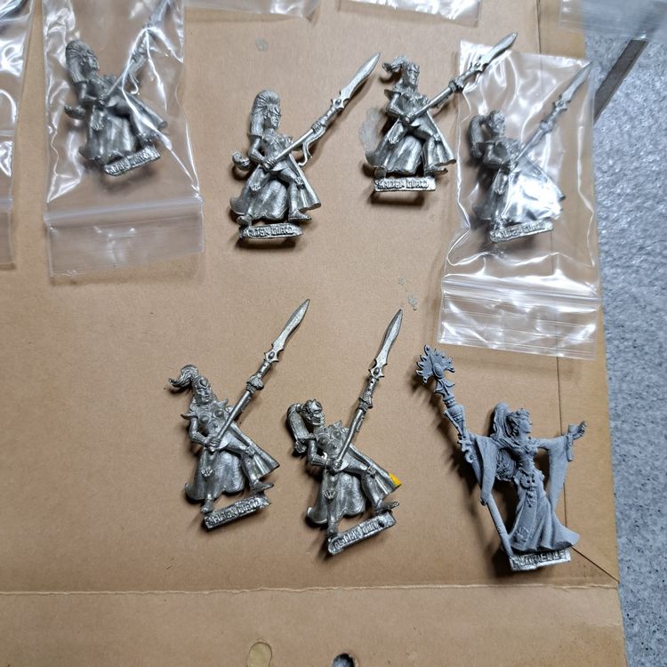 Warhammer (?) MAIDEN GUARD 19 STK WEISSMETALL ,Kit | Kaufen auf Ricardo