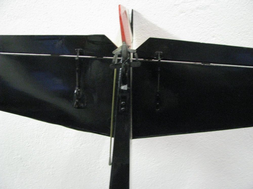 F3A Calypso von Modeltech (Defekt) in für CHF 120 – nur Abholung auf ...