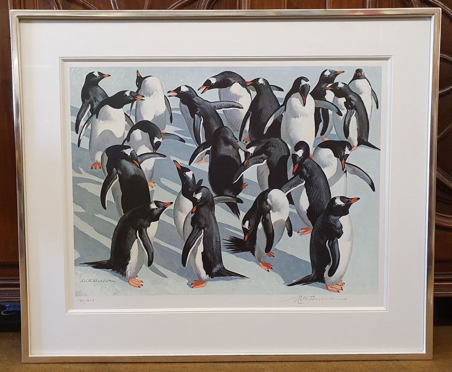 Keith SHACKLETON (1923-2015) - Pinguine, grosse Grafik, 1977 | Kaufen ...