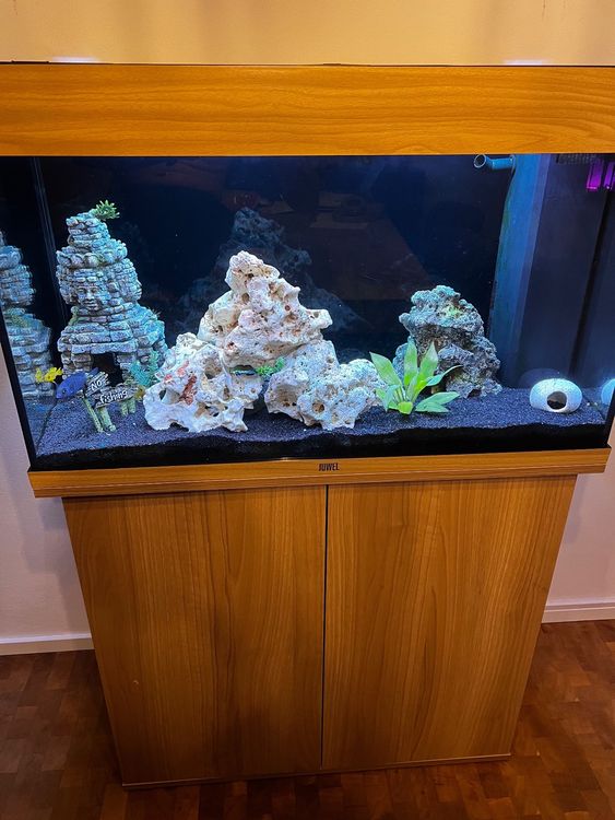 125 Liter Aquarium Juwel ohne Lampe ab 1.- (Gebraucht) in Pfäffikon ZH für CHF 31 – nur Abholung ...