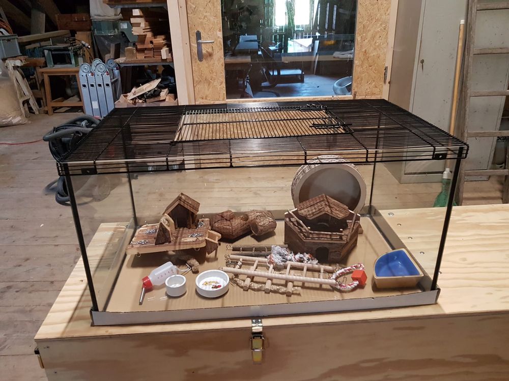 Terrarium 80 x50 cm | Kaufen auf Ricardo