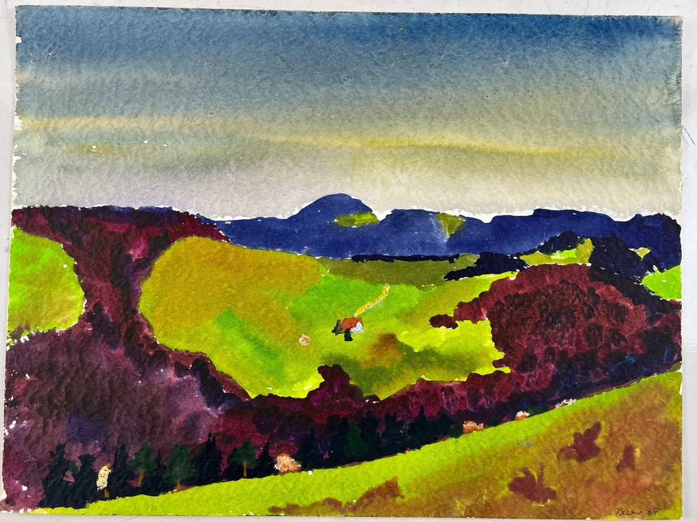 Aquarell Landschaft Handsigniert (Gebraucht) in Neuhausen am Rheinfall für CHF 5 – mit Lieferung ...