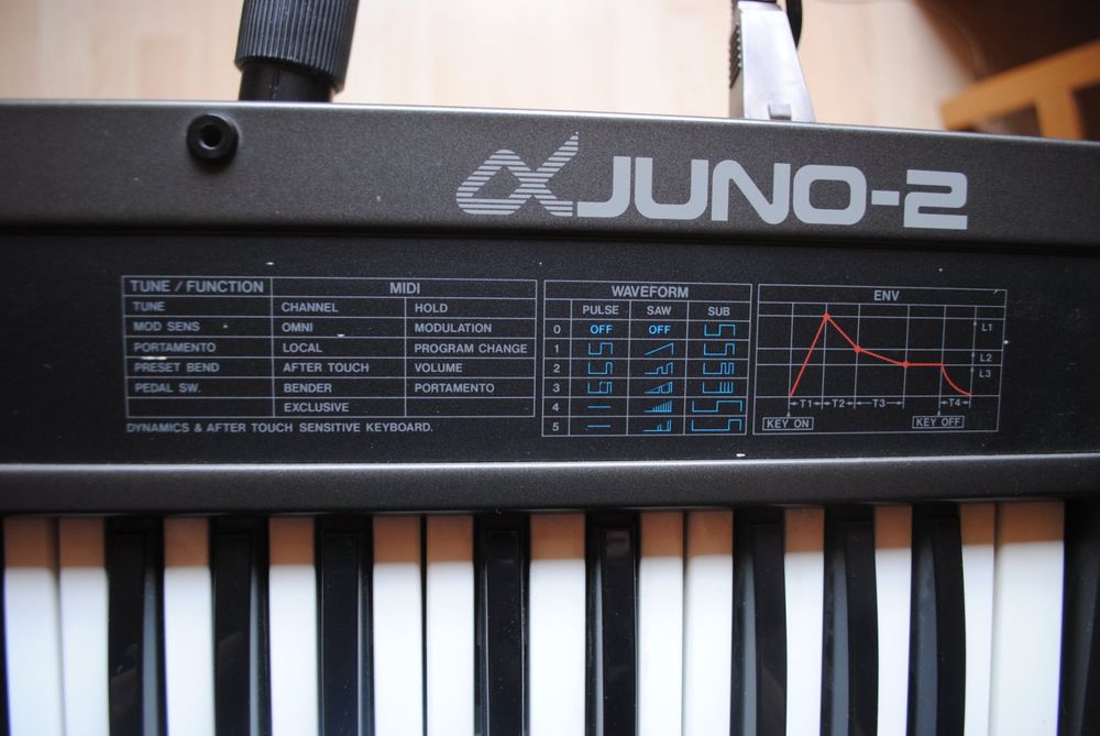Roland Alpha Juno-2 Analogsynthesizer (Gebraucht) in Aathal-Seegräben ...