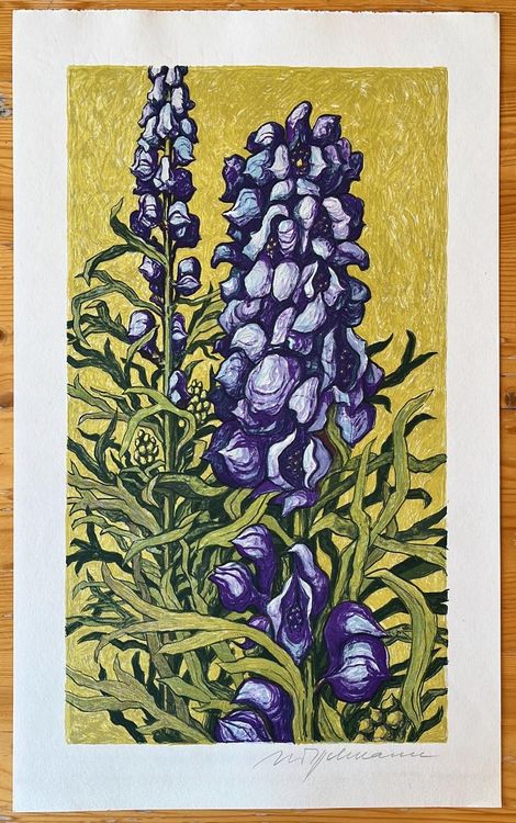 Lithografie Blauer Eisenhut von Walter Diggelmann (ID b3861) | Kaufen ...