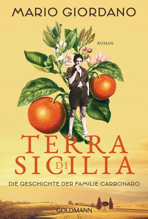 Giordano Mario - Terra di Sicilia / Hist. Roman (Gebraucht) in ...