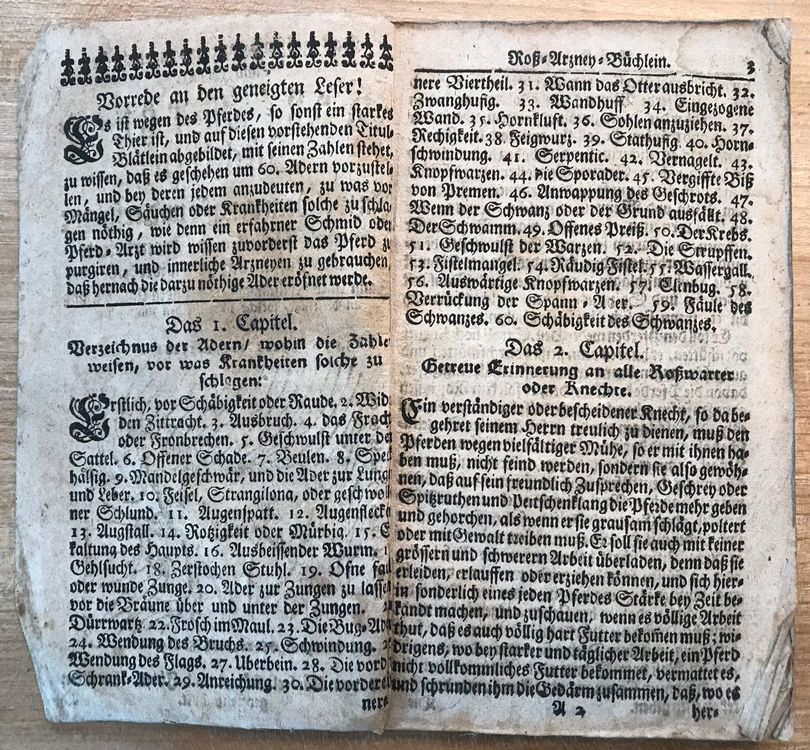 Pferde-Arznei-Büchlein, Pferde-Krankheiten, Veterinär, antik (Gebraucht) in Zürich für CHF 43 ...