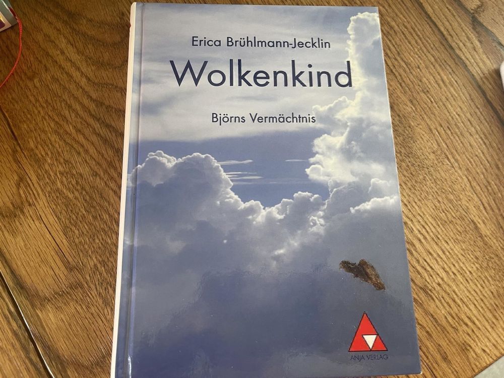 Erica Brühlmann-Jecklin: Wolkenkind - Björns Vermächtnis (3) (Gebraucht ...