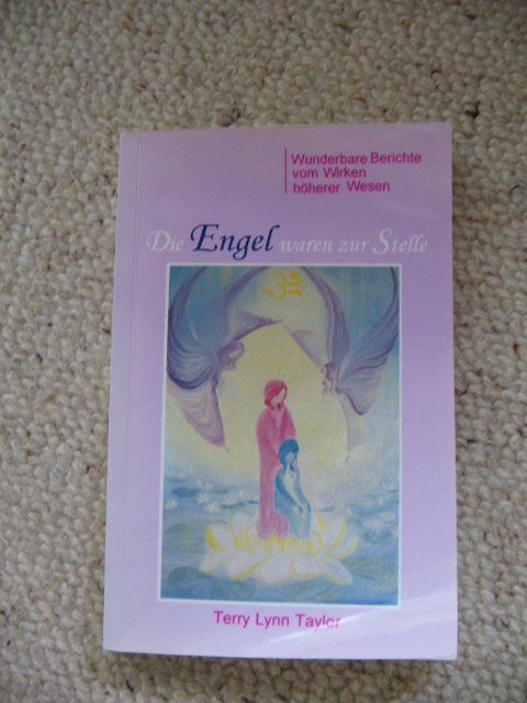 Die Engel waren zur Stelle Terry Lynn Taylor (Gebraucht) in Reitnau für ...