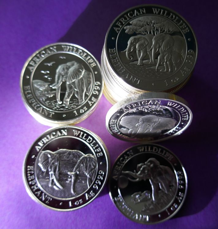 22 x 1 oz SOMALIA ELEFANT Silber 999 div.Jahrgänge TOP!! | Kaufen auf ...