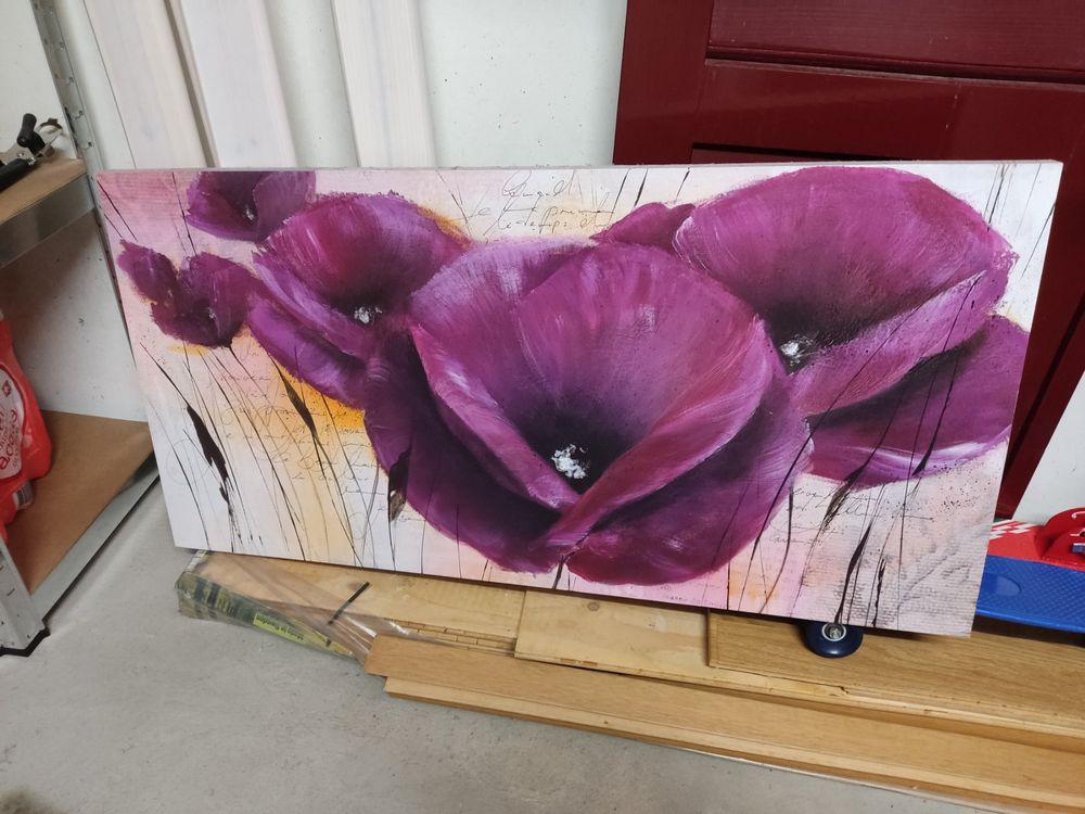 Rote Rose Bild | Kaufen auf Ricardo