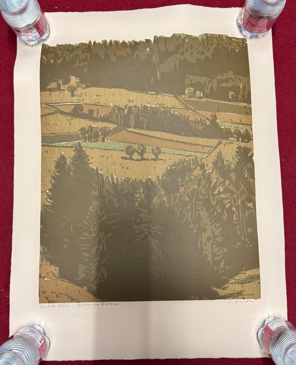 Lithos Hand signiert Bild (Gebraucht) in Schlieren für CHF 10 – mit Lieferung auf Ricardo kaufen