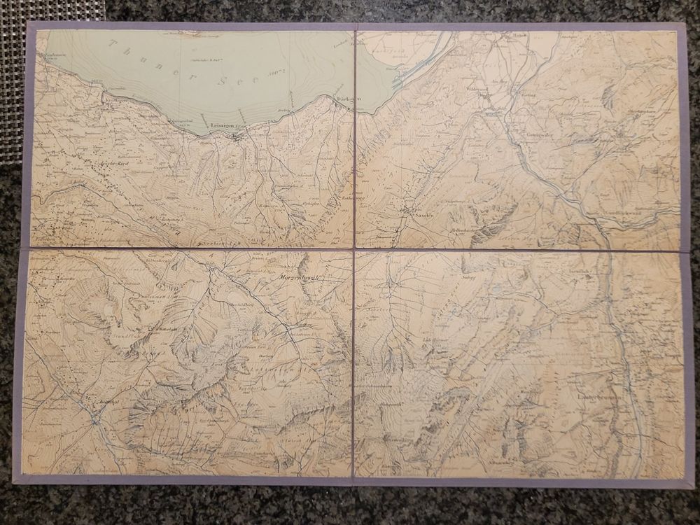 SWISSTOPO Karte LAUTERBR. WILDERSWIL WENGEN THUNERSEE 18xx (Gebraucht) in Oetwil am See für CHF ...