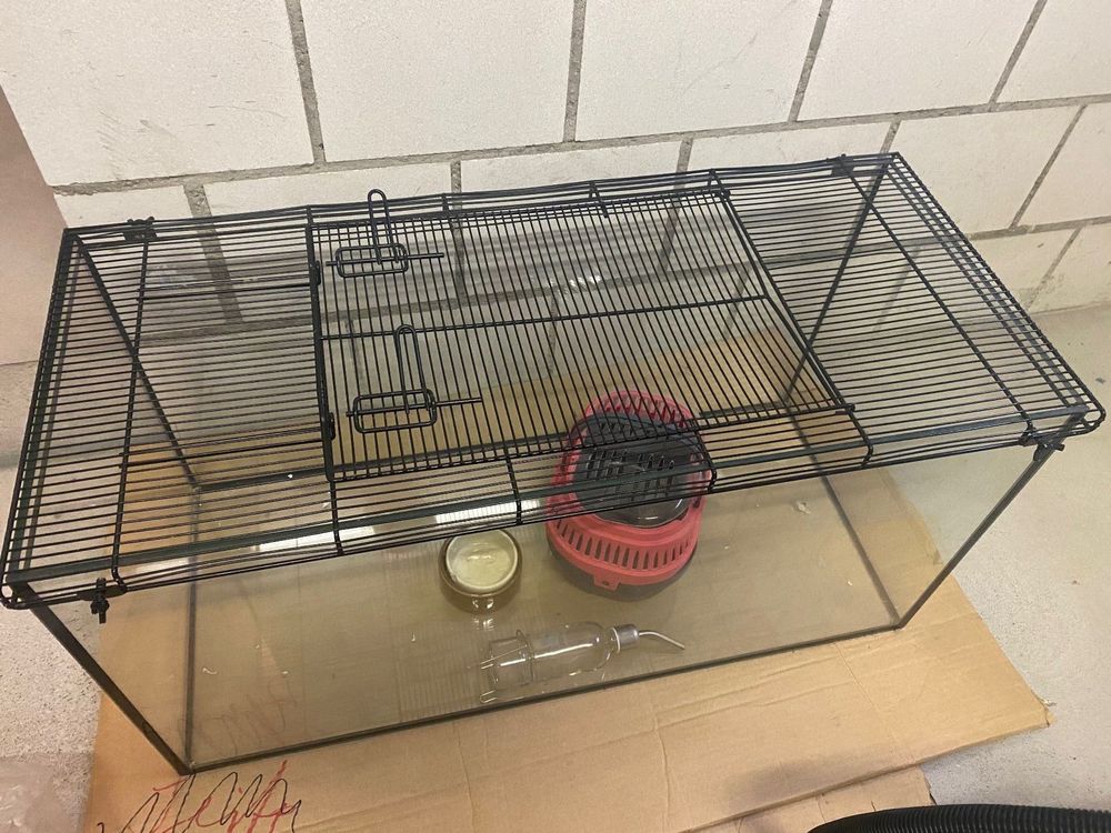 Mäusekäfig | Kaufen auf Ricardo