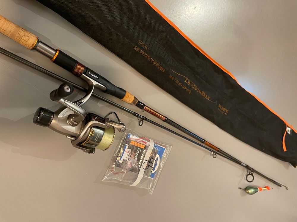 Angelrute, Fischerrute: Balzer Diabolo VI (Gebraucht) in Winterthur für ...