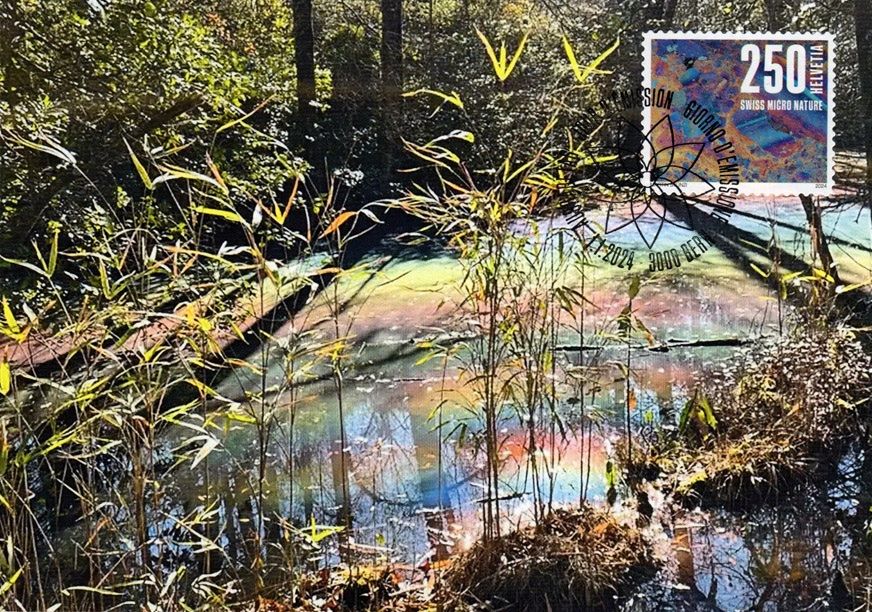 Maximumkarte Naturmuster - Pflanzenöl | Kaufen auf Ricardo