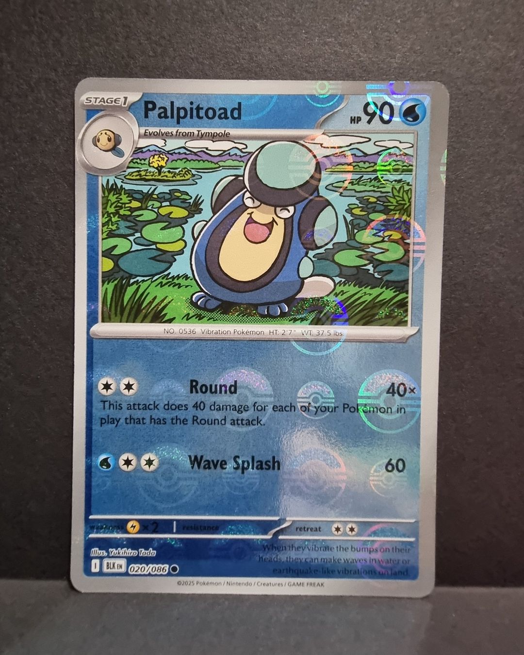 Pokémon Palpitoad Pokeball reverse 020/086 Black Bolt 🇬🇧 (Neu (gemäss ...