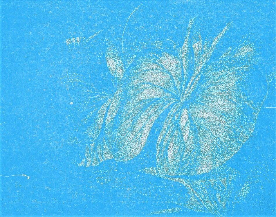 Franz Gertsch. | Kaufen auf Ricardo