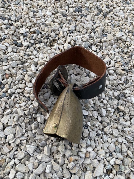 Cloche à vaches | Kaufen auf Ricardo