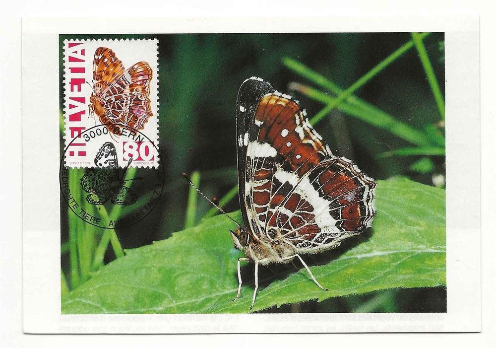 Maximumkarte Schmetterling 1996 6u (Gebraucht) in Aarau für CHF 2.5 – mit Lieferung auf Ricardo ...