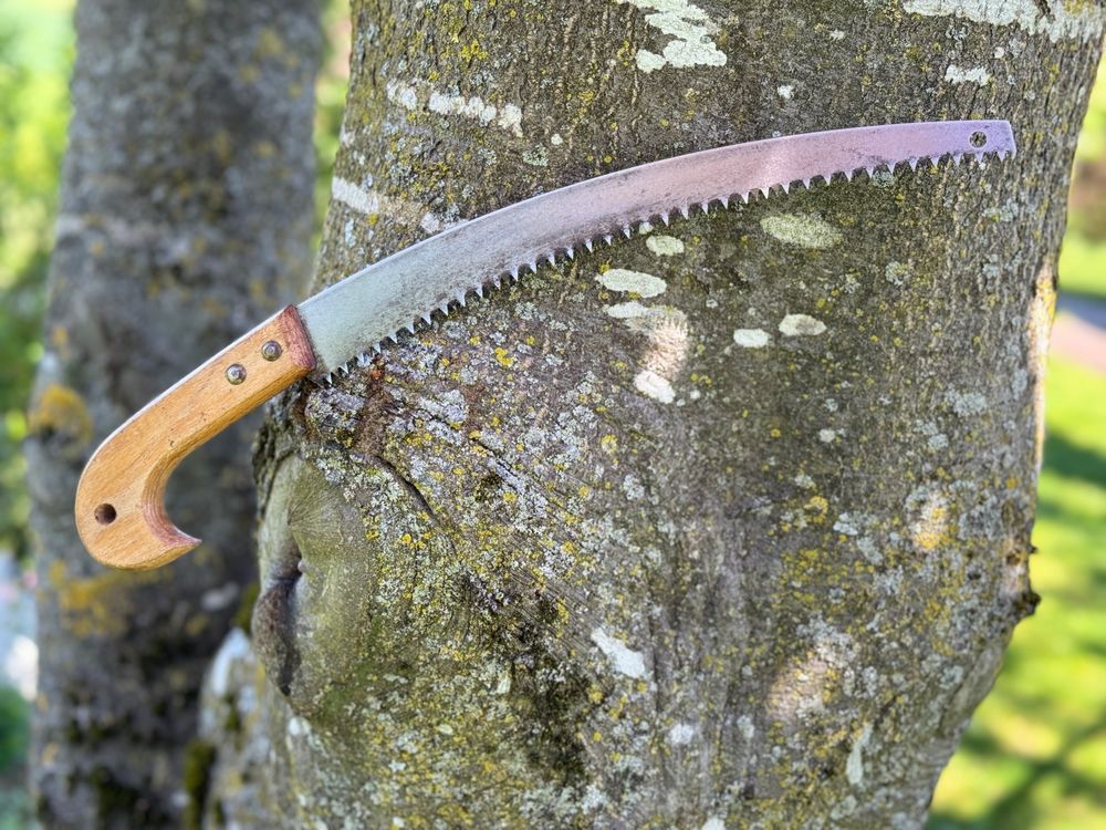 Ast Säge mit Holzgriff (Gebraucht) in Humlikon für CHF 11 – mit ...