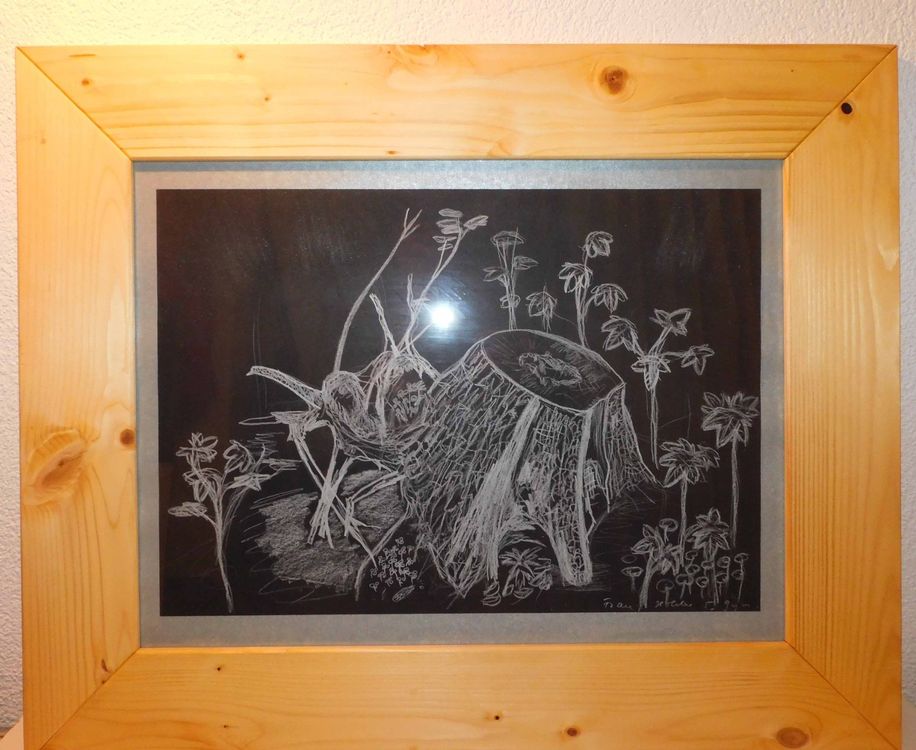 Neue Fundschätze Kunst Zeichnung signiert Franz Hohler (Gebraucht) in Sursee für CHF 50 – nur ...