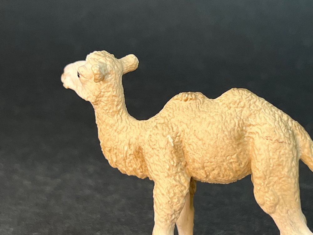 Schleich 14602 Trampeltier Fohlen Kamel (Gebraucht) in Ennetbaden für ...