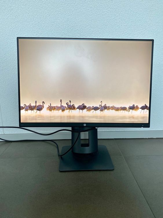 Monitor HPz24n (24-Zoll) (Gebraucht) in Weisslingen für CHF 39 – nur ...