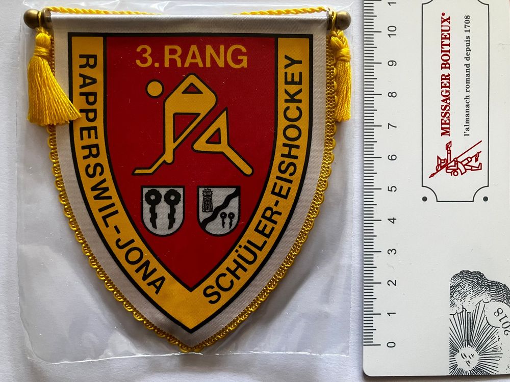 Vintage Fanion/Wimpel EHC RAPPERSWIL-JONA SCHÜLER 3. RANG (Neuf avec ...
