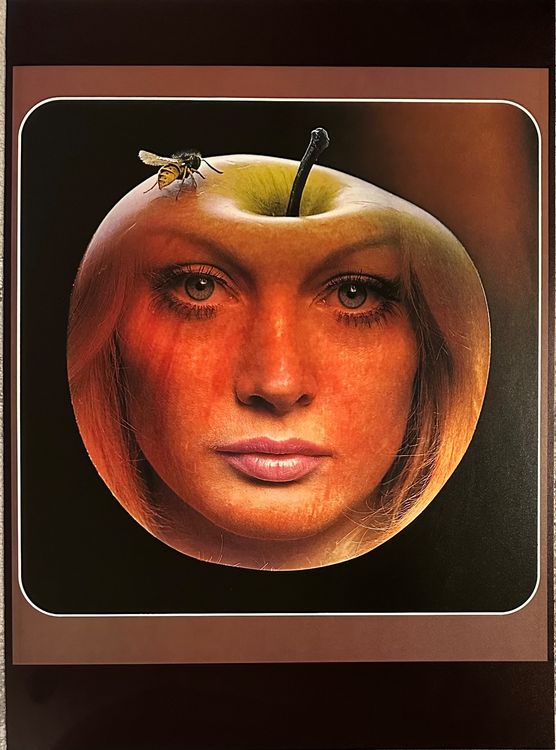 Sam Haskins (1926-2009) Damen Gesicht Litho Poster (Gebraucht) in Root ...