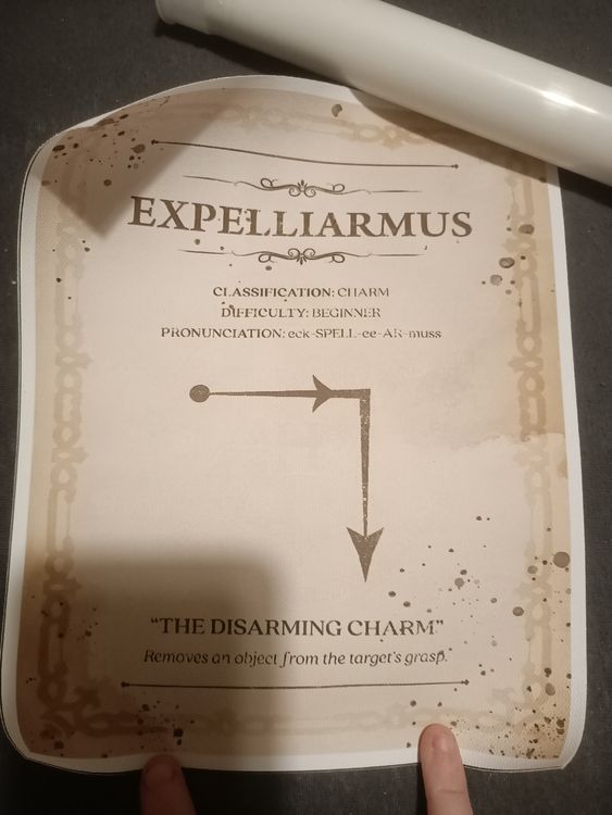 affiche sortilège expelliarmus Harry Potter | Kaufen auf Ricardo