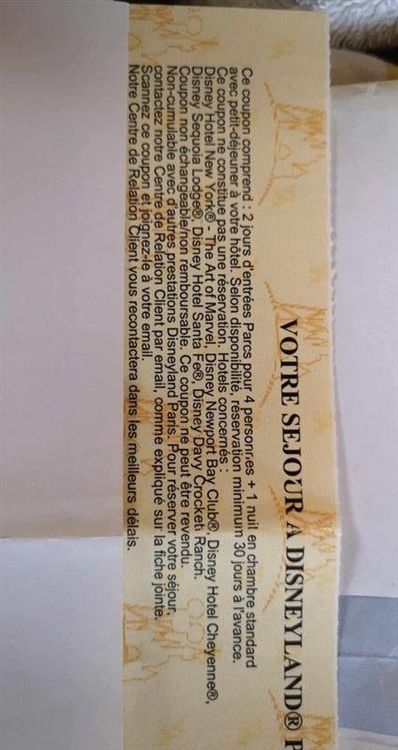 Disneyland Paris Gutschein 2 Tage 4 Erwachs. Hotel Frühstück (Neu und ...