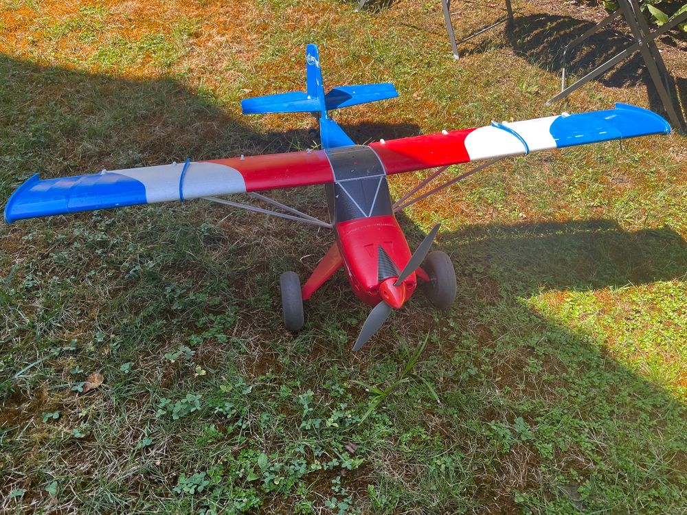 Flite Test Freedomfox (Gebraucht) in Kirchdorf AG für CHF 65 – nur ...