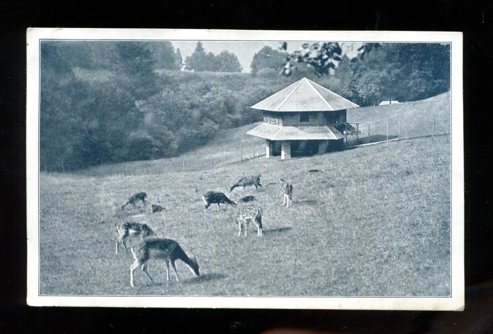 Aarau. Wildpark Roggenhausen | Kaufen auf Ricardo