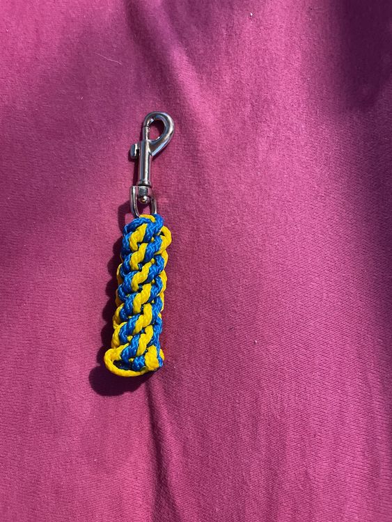 Bringsel für hunde (Neu (gemäss Beschreibung)) in Volketswil für CHF 7 ...