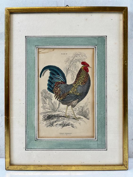 Alte Kolorierte Litho | Kaufen auf Ricardo