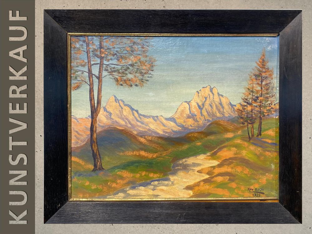 Max Erni - Swiss Art Selection (Gebraucht) in Sursee für CHF 75 – nur Abholung auf Ricardo kaufen