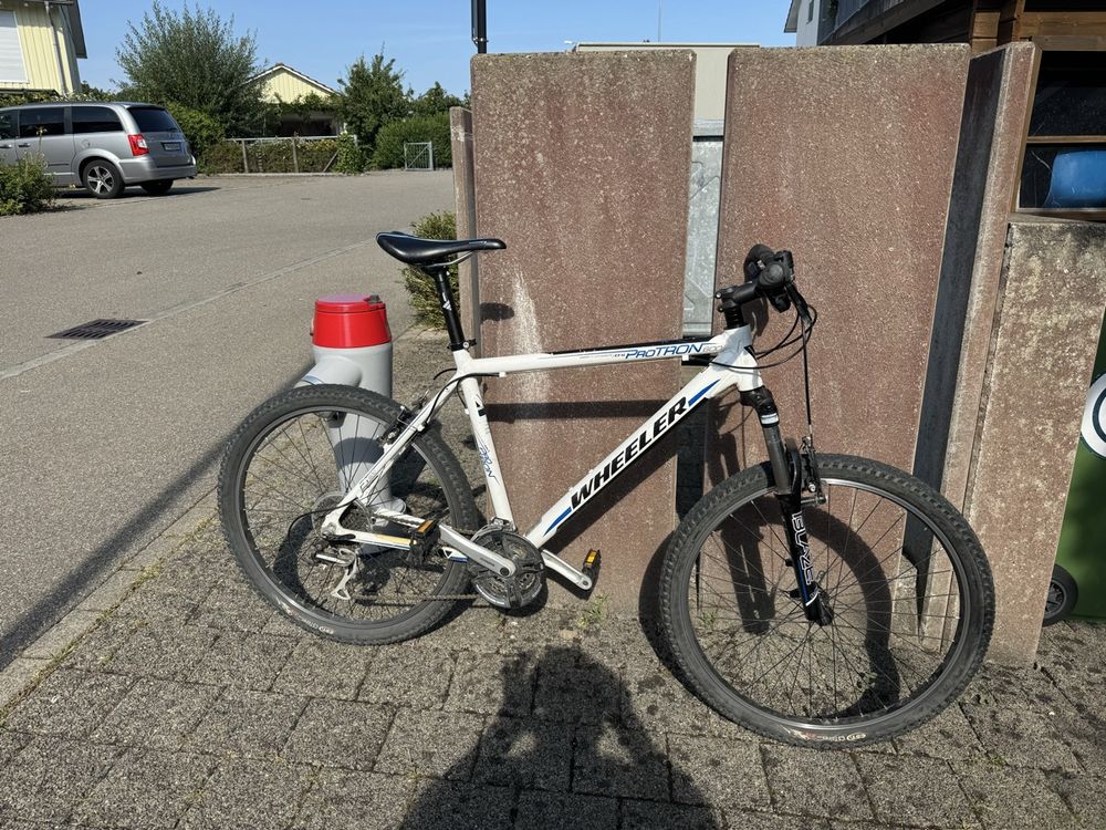 Wheeler Protron Mountainbike 26" weiss/blau (Gebraucht) in Hettlingen ...