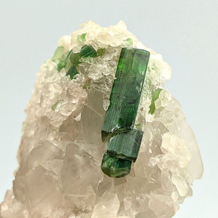 SEGMENTED ELBAITE, GREEN TOURMALINE on QUARTZ (Neu (gemäss Beschreibung)) in Balerna für CHF 75 ...