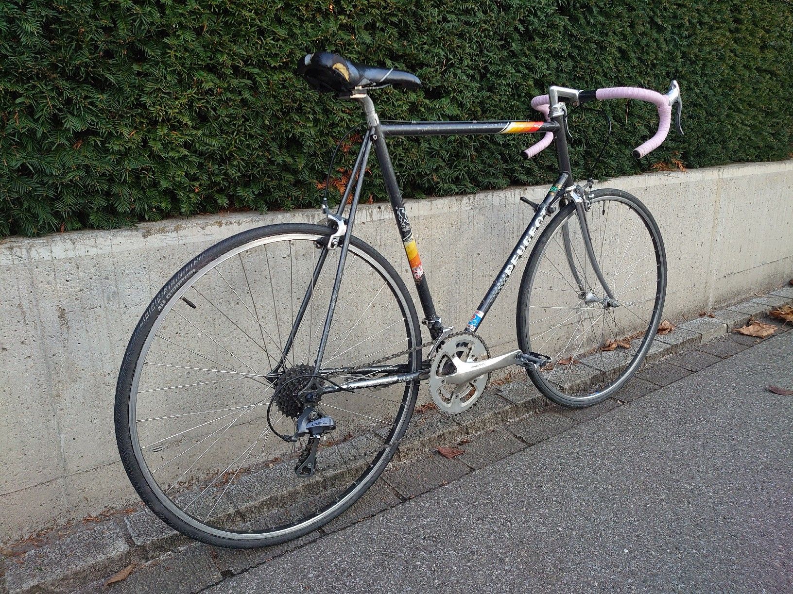 Peugeot Rennrad – Reynolds 501 – 61.5 cm – Fahrbereit (Gebraucht) in ...