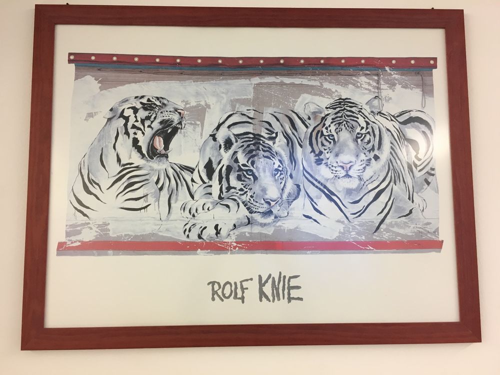 Rolf Knie Tiger Bild gerahmt (Gebraucht) in Zofingen für CHF 20 – nur Abholung auf Ricardo kaufen