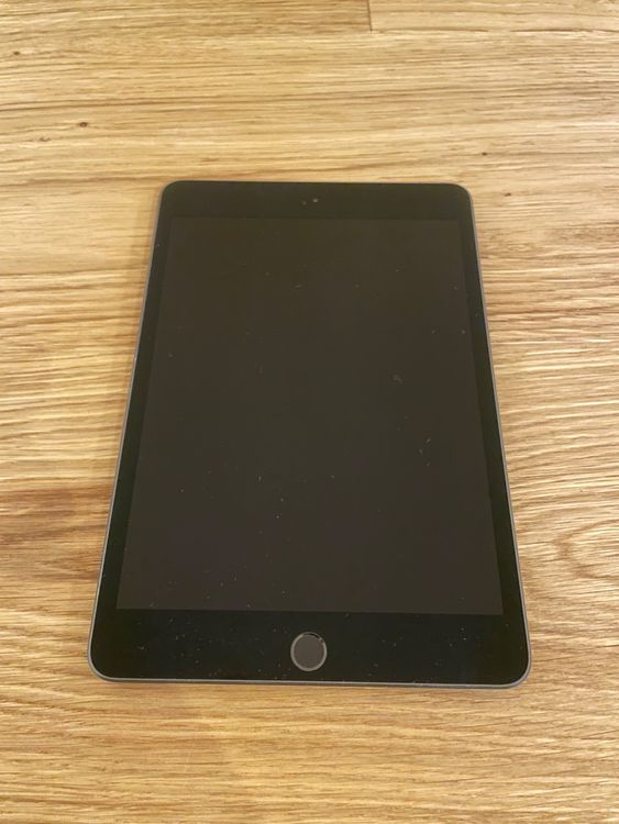 Apple iPad mini 5 (WiFi | 256GB | Spacegrau) (Gebraucht) in Oberrieden für CHF 214 – mit ...