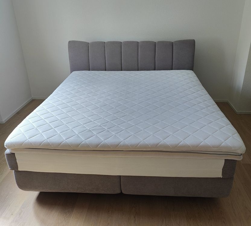 Boxspringbett 180x200 cm grau, mit Kaltschaum - Topper (Gebraucht) in ...