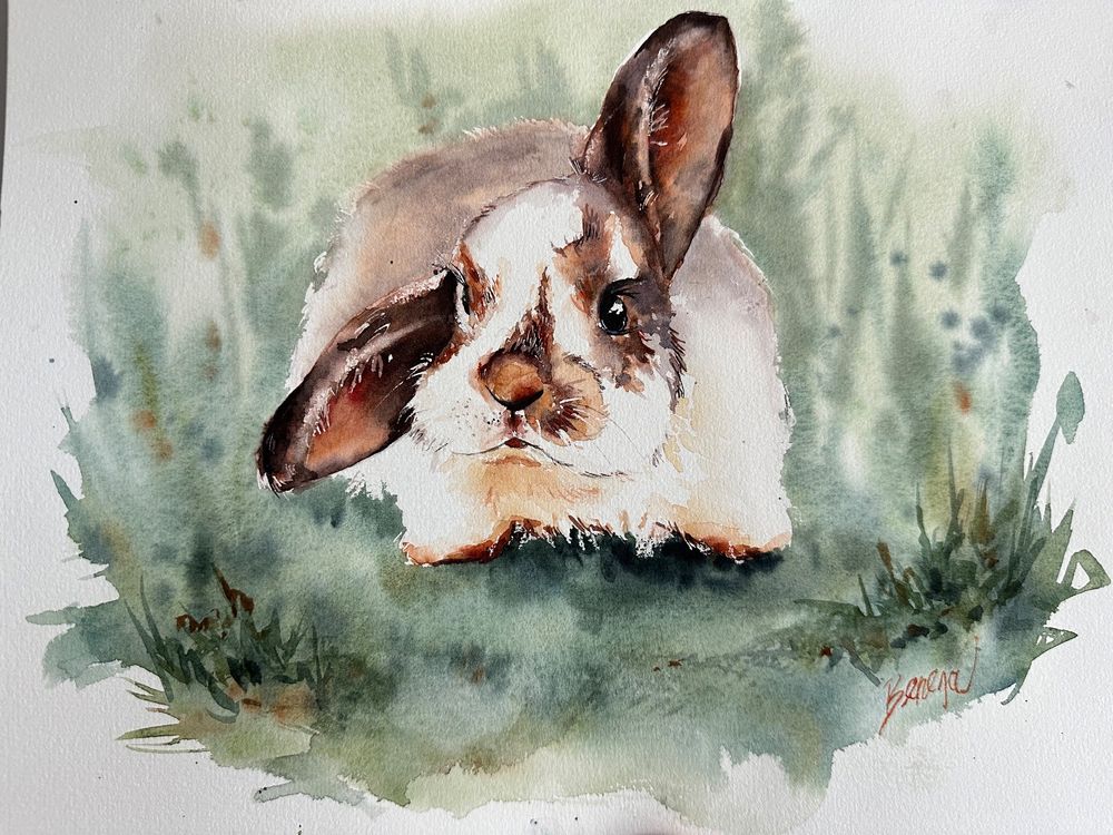 Aquarellbild / Aquarell Gemälde - Kaninschen | Kaufen auf Ricardo