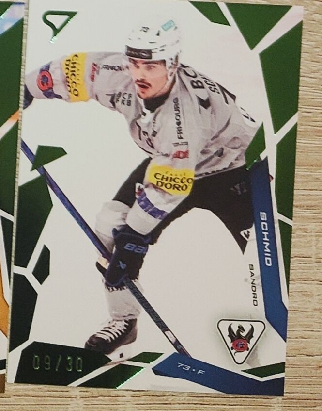 sportzoo S. Schmid Green /30 HC Fribourg Gotteron (Neu (gemäss ...