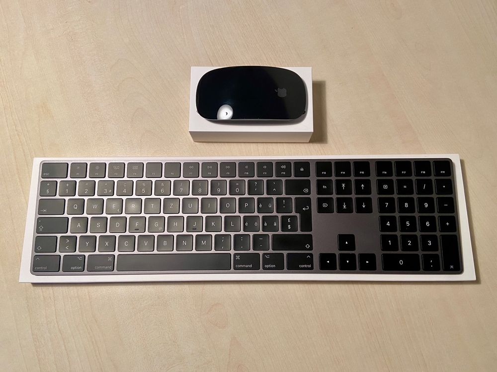 Apple Magic Keyboard & Magic Mouse in Space Grey (Gebraucht) in Buochs ...