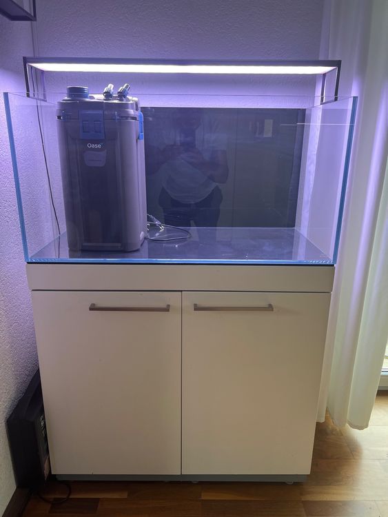 Komplett ADA 90P Cube Garden Pool Aquarium (Gebraucht) in Olten für CHF 500 – nur Abholung auf ...