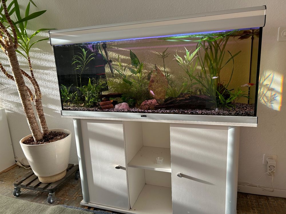 240l Aquarium mit Möbel (Gebraucht) in Baden für CHF 100 – nur Abholung auf Ricardo kaufen